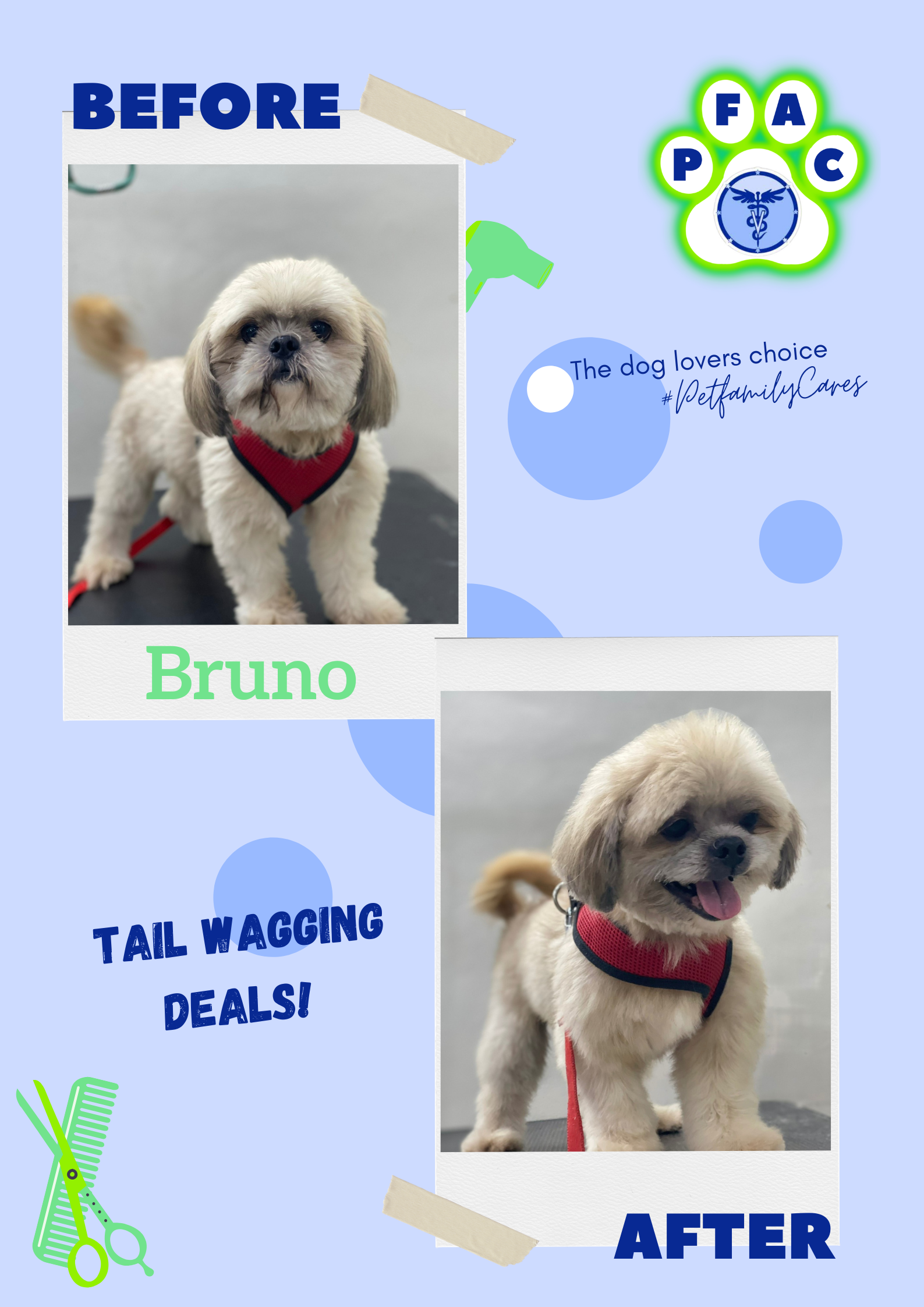 Pet Family Animal Clinic | Best Pet Grooming Services in Cavite