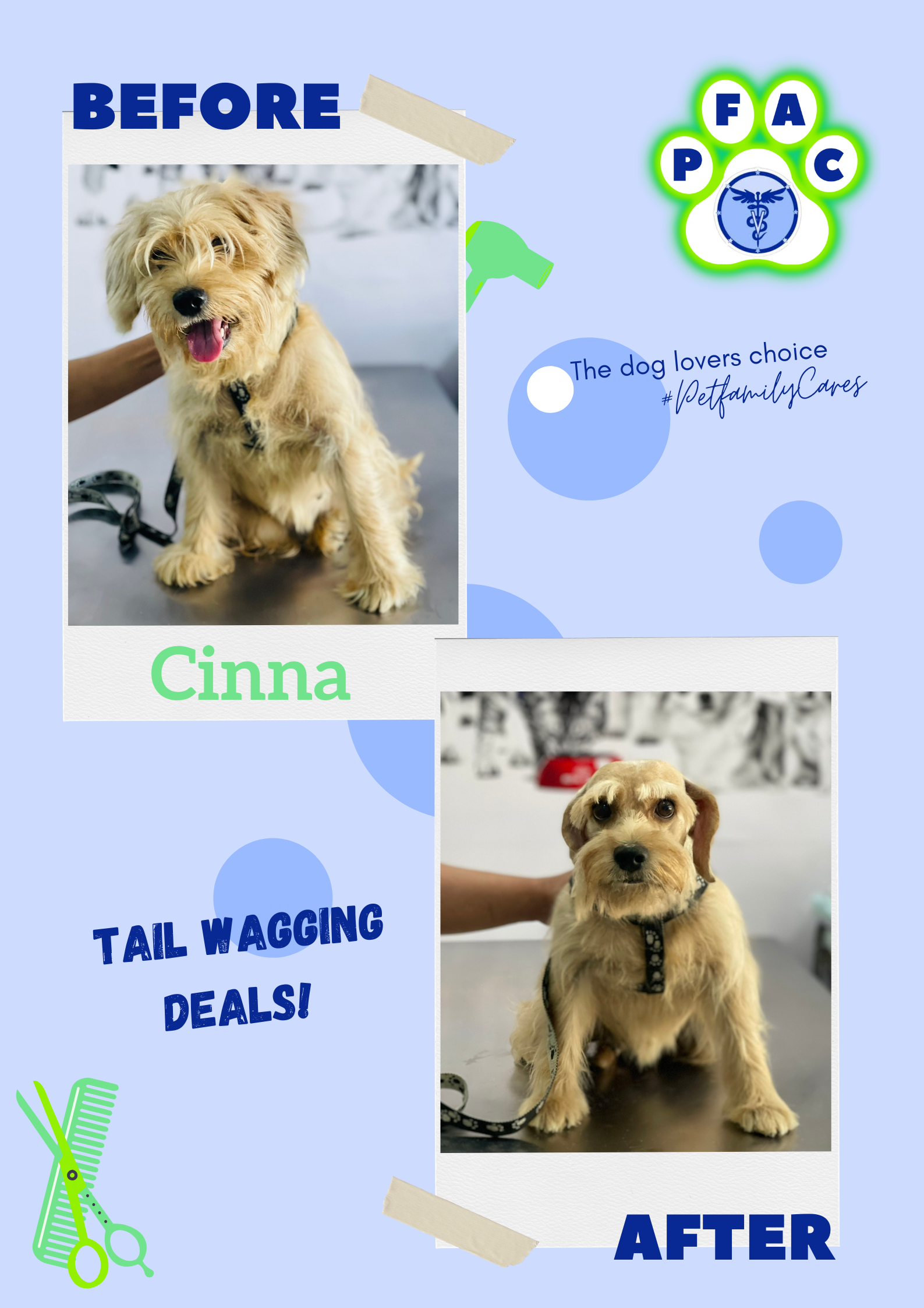 Pet Family Animal Clinic | Best Pet Grooming Services in Cavite