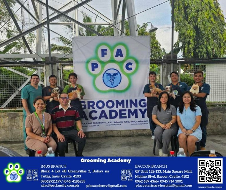 Pet Grooming Training and Certification