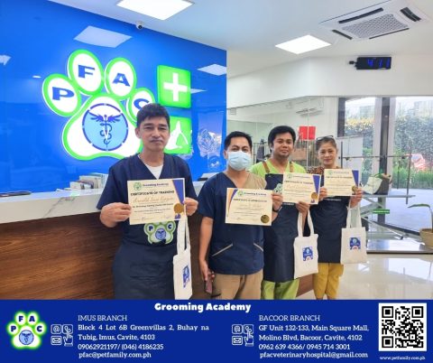 Pet Grooming Training and Certification