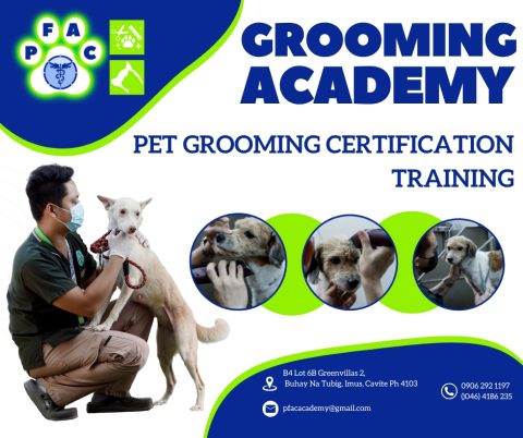 Pet Grooming Training and Certification